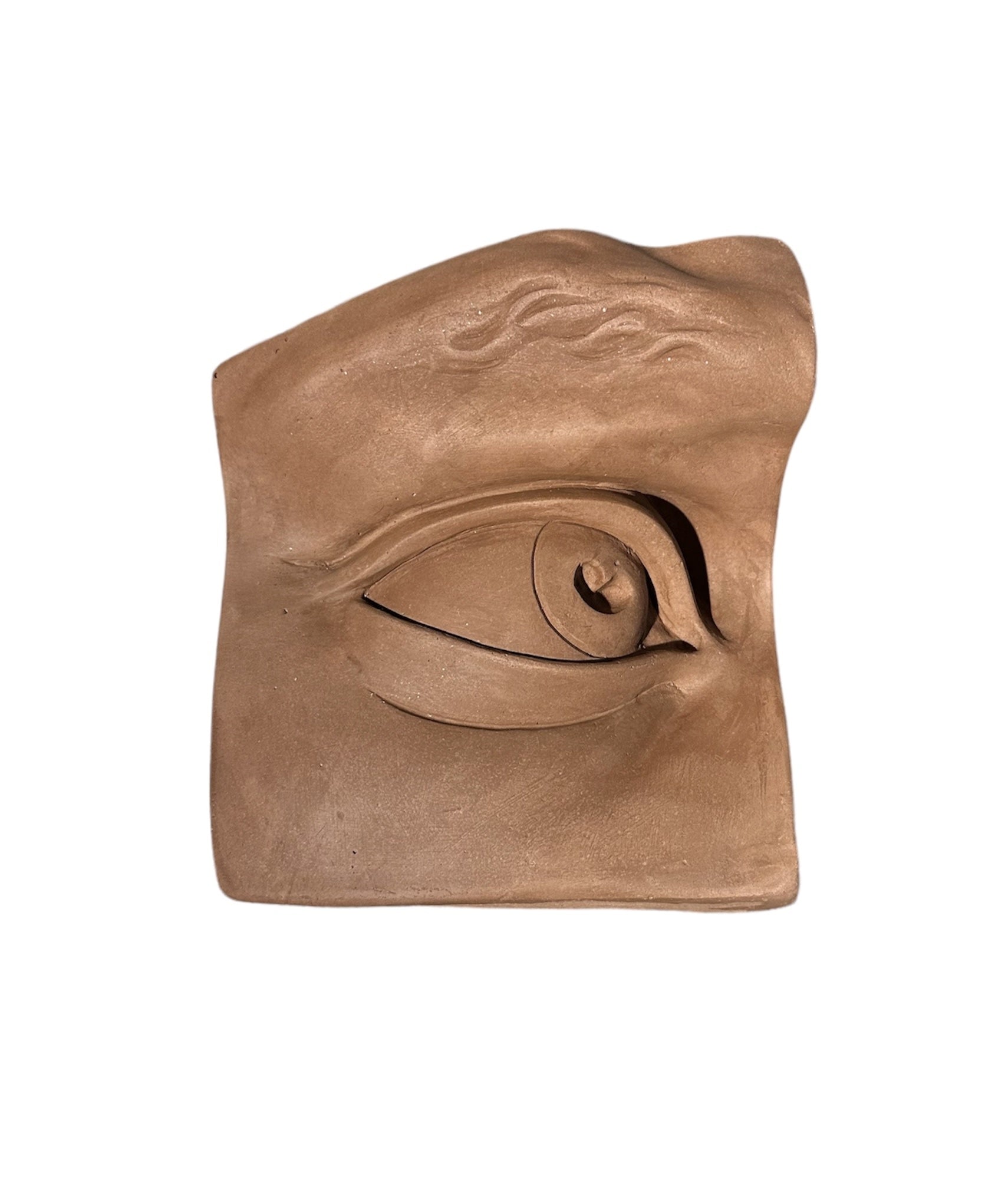 Plaster Eye Of David Brown – The Compleat Sculptor, Inc