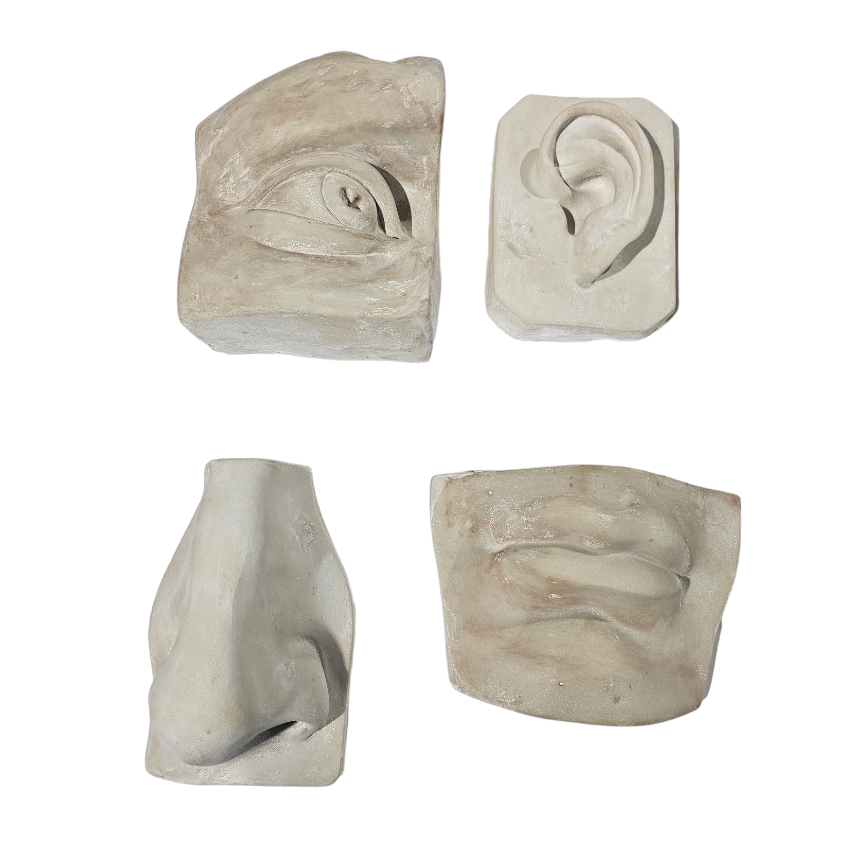 Body Parts – The Compleat Sculptor, Inc