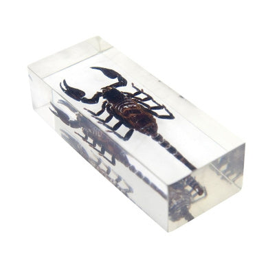 Polyester Casting Materials – The Compleat Sculptor, Inc