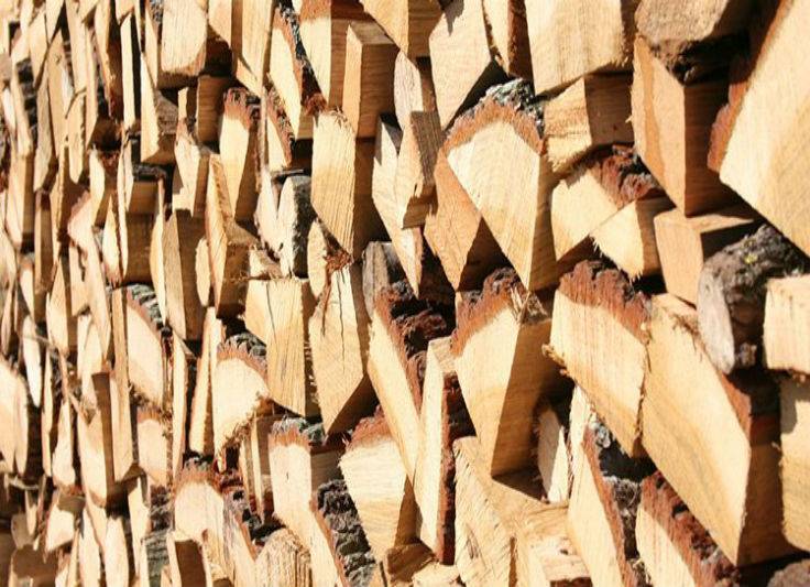 Wood – The Compleat Sculptor, Inc