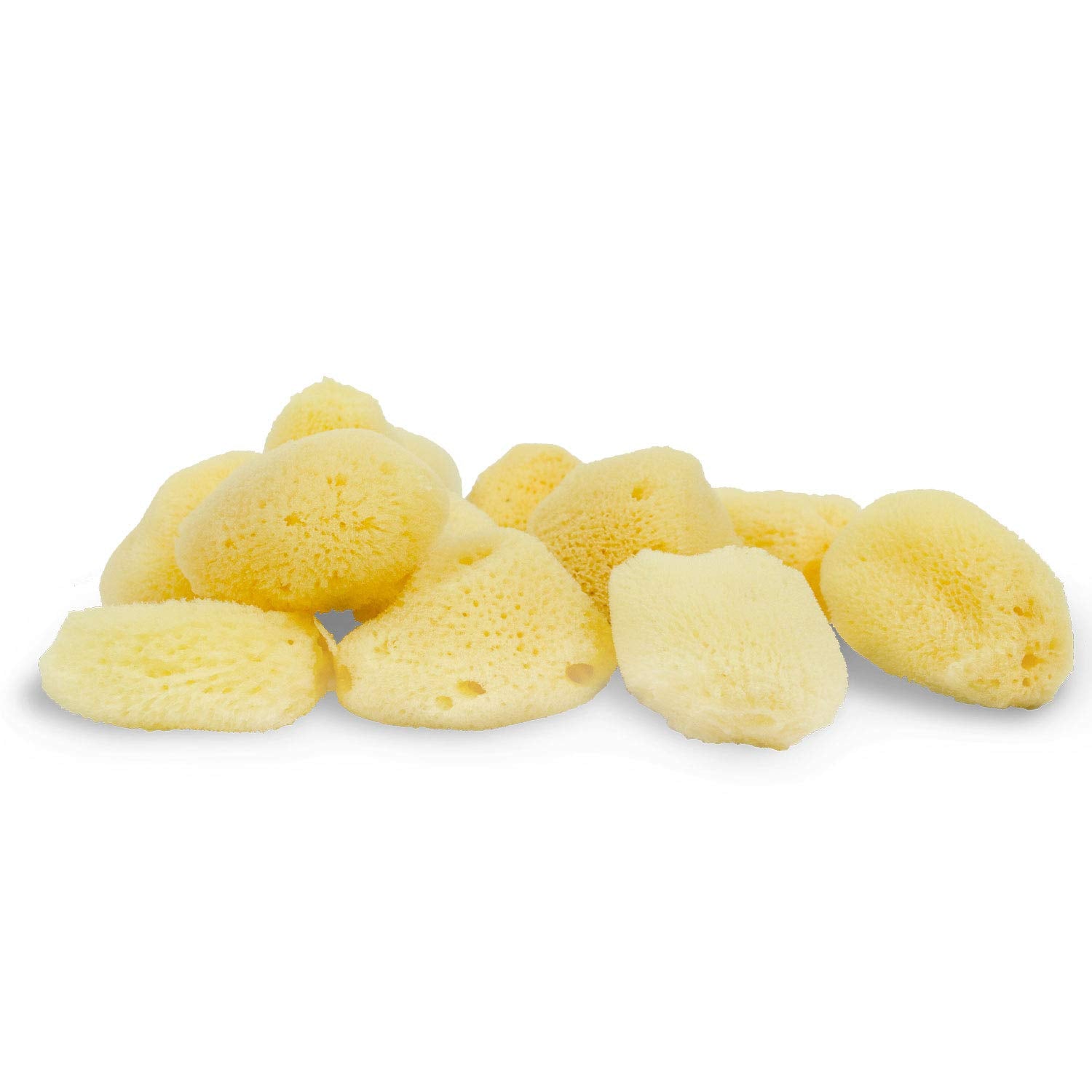 Neptune™ Sea Silk Sponges – The Compleat Sculptor, Inc