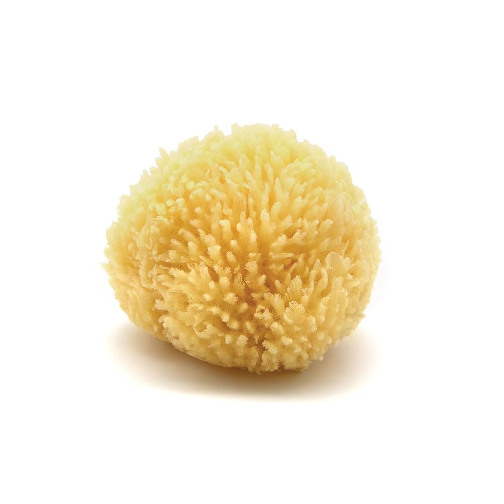 Neptune™ Caribbean Sea Sponges – The Compleat Sculptor, Inc