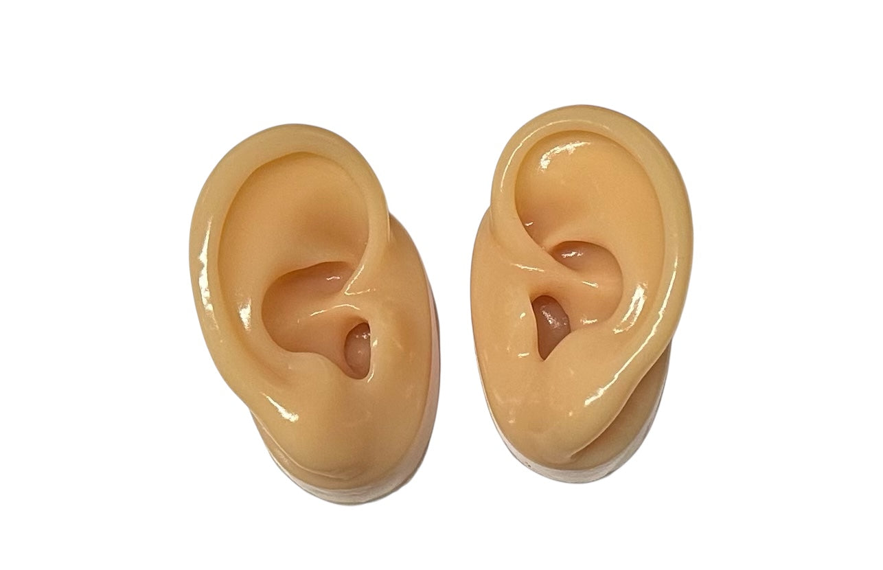 Life Sized Silicone Ears (One Pair) – The Compleat Sculptor, Inc