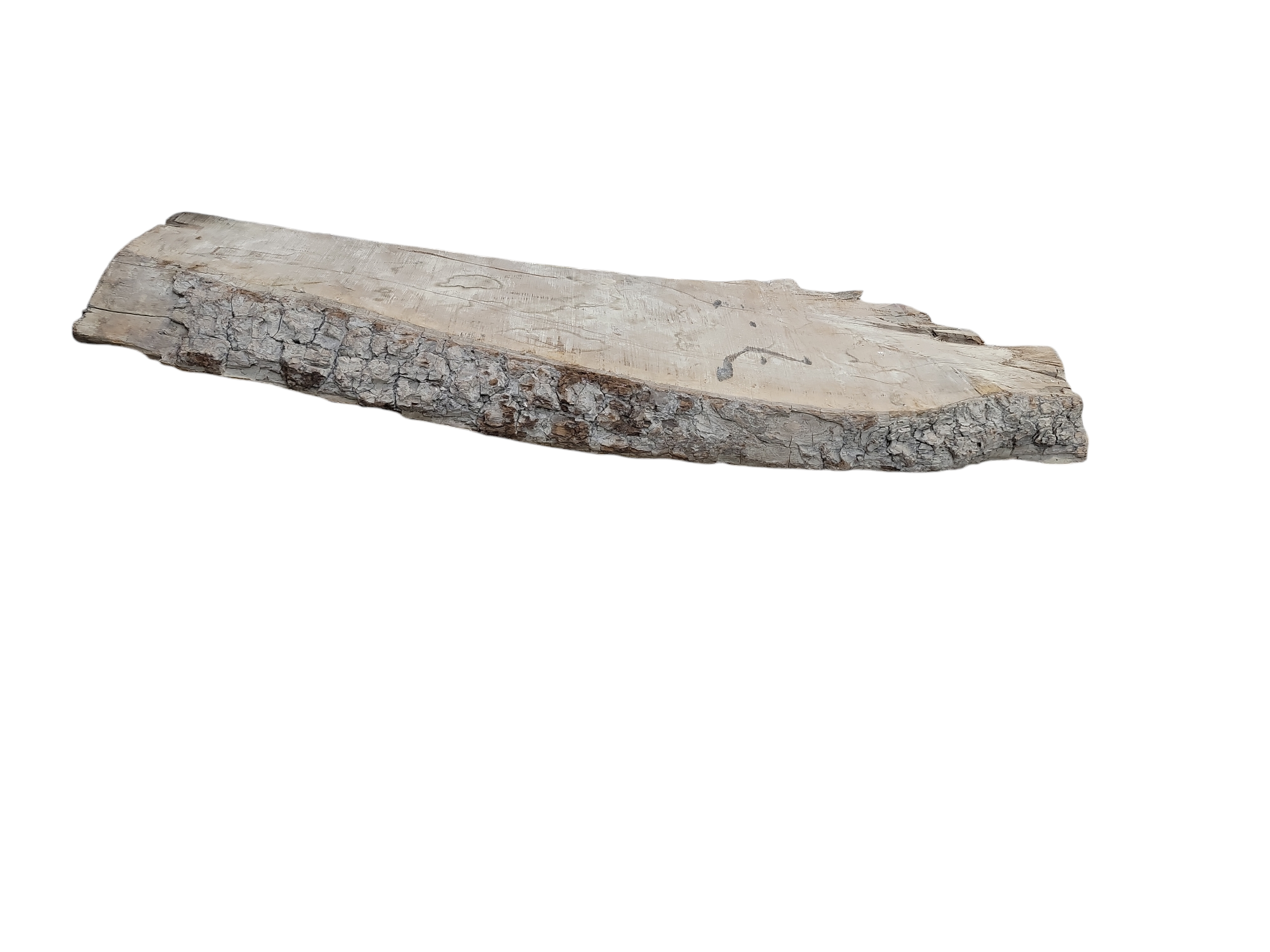 Black Walnut Slab Live Edge 55x17x4 50lbs – The Compleat Sculptor, Inc