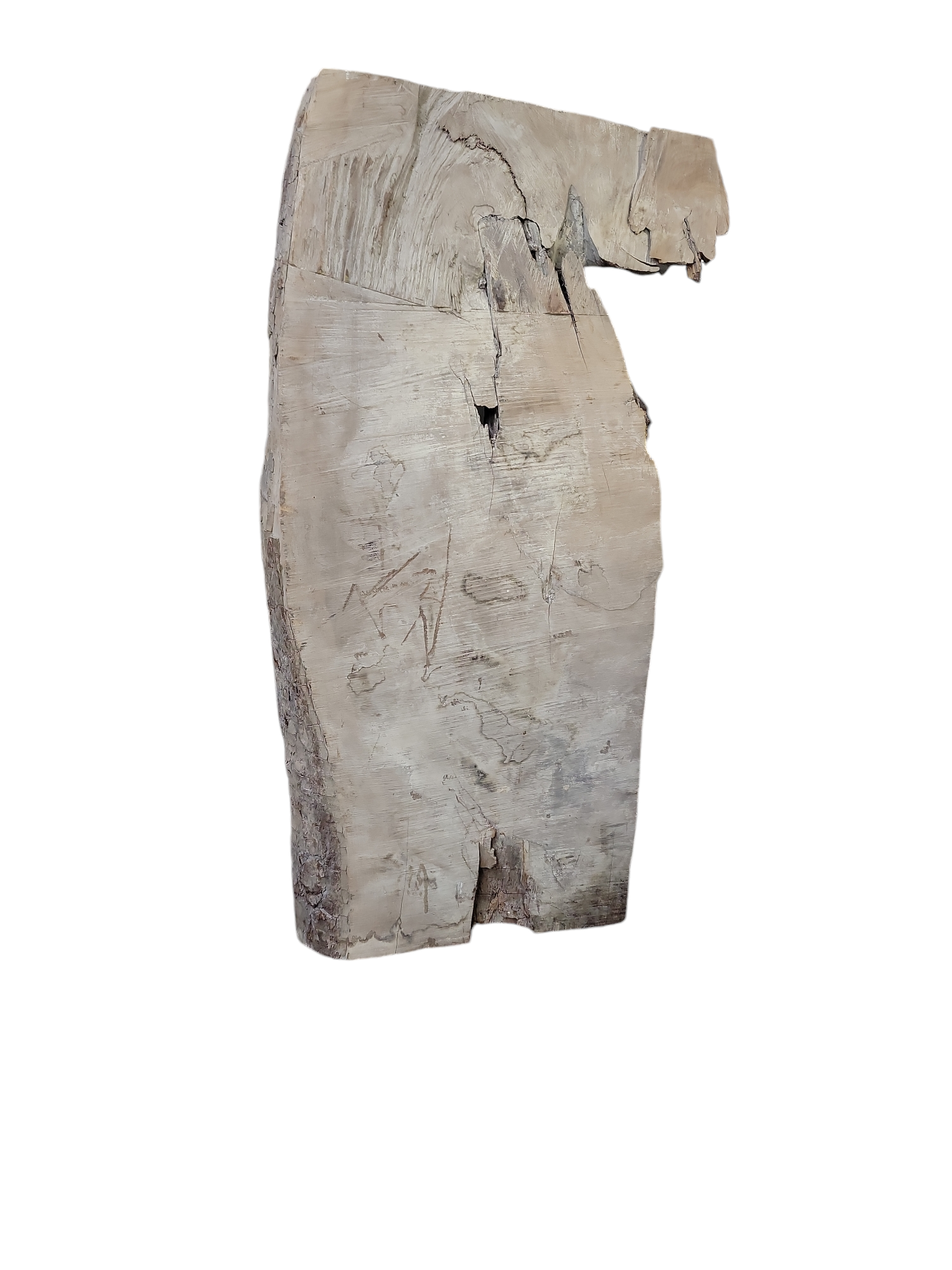 Black Walnut Slab Live Edge 58x28x4 111lbs – The Compleat Sculptor, Inc