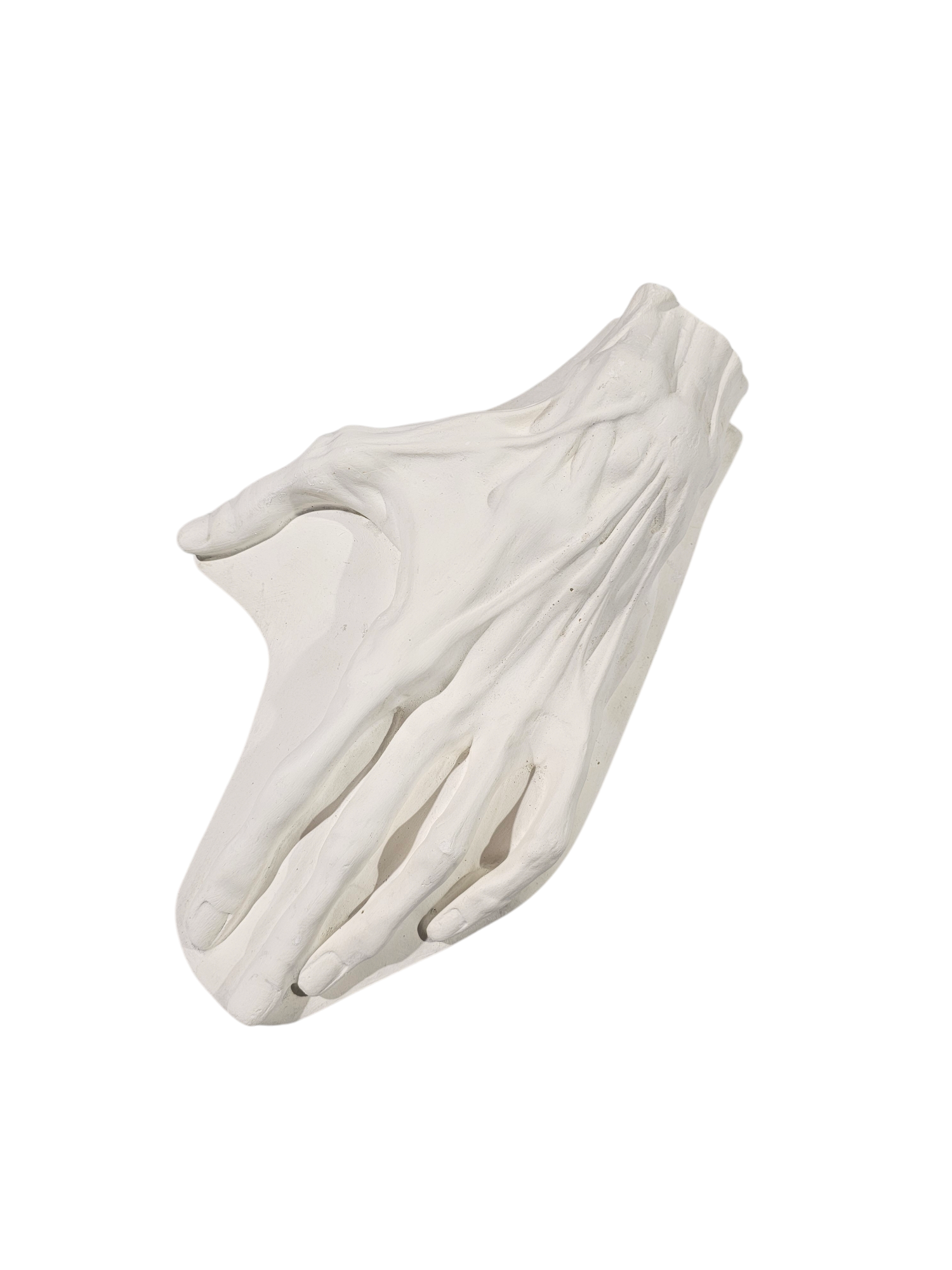 Plaster Anatomical Hand Plaque – The Compleat Sculptor, Inc