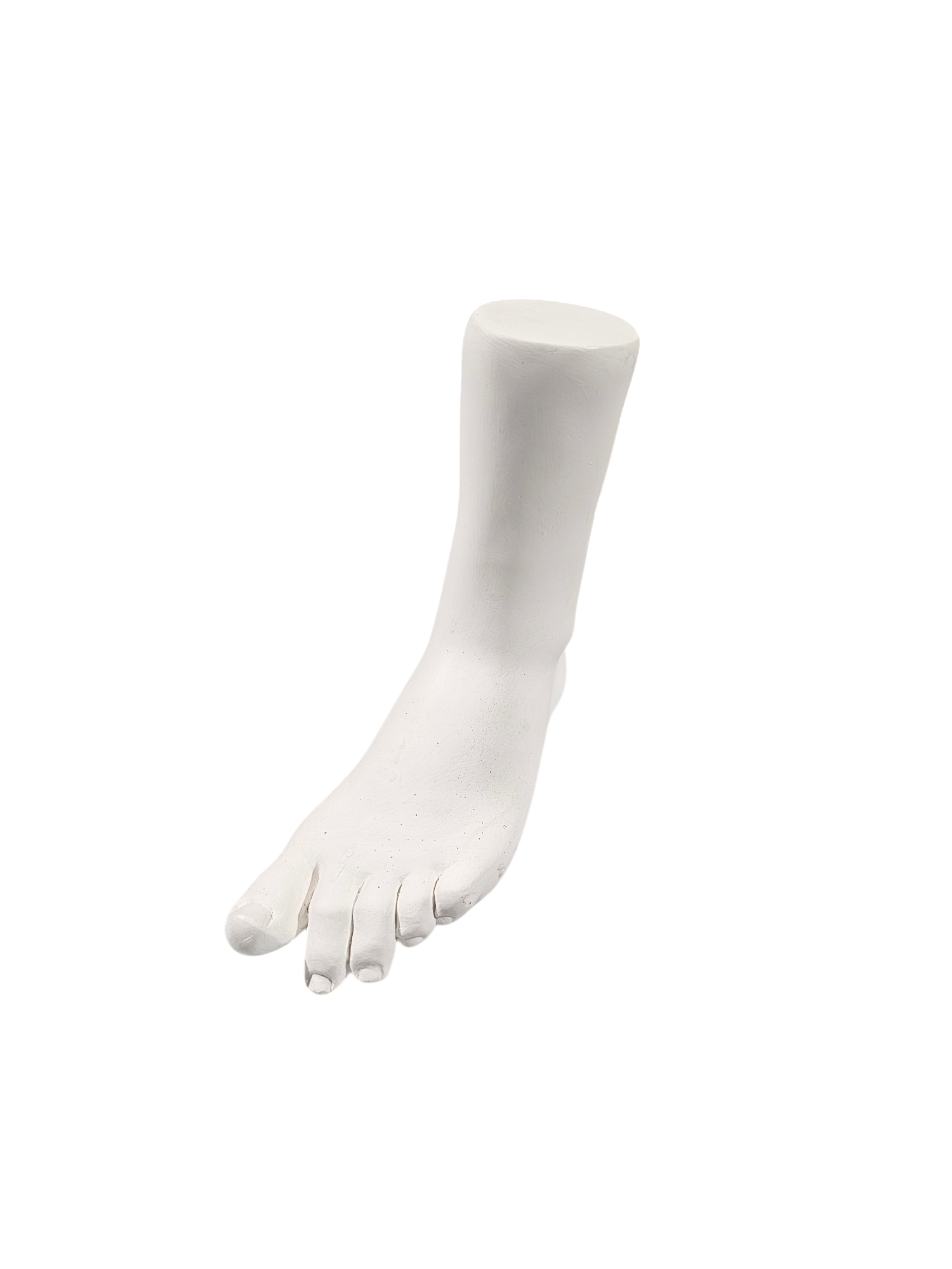 Plaster Female Foot – The Compleat Sculptor, Inc