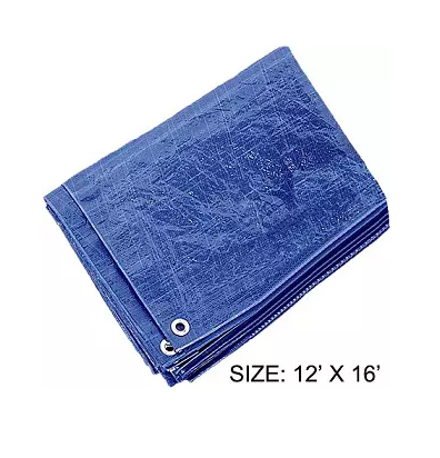 Blue Tarp 12' x 16' – The Compleat Sculptor, Inc