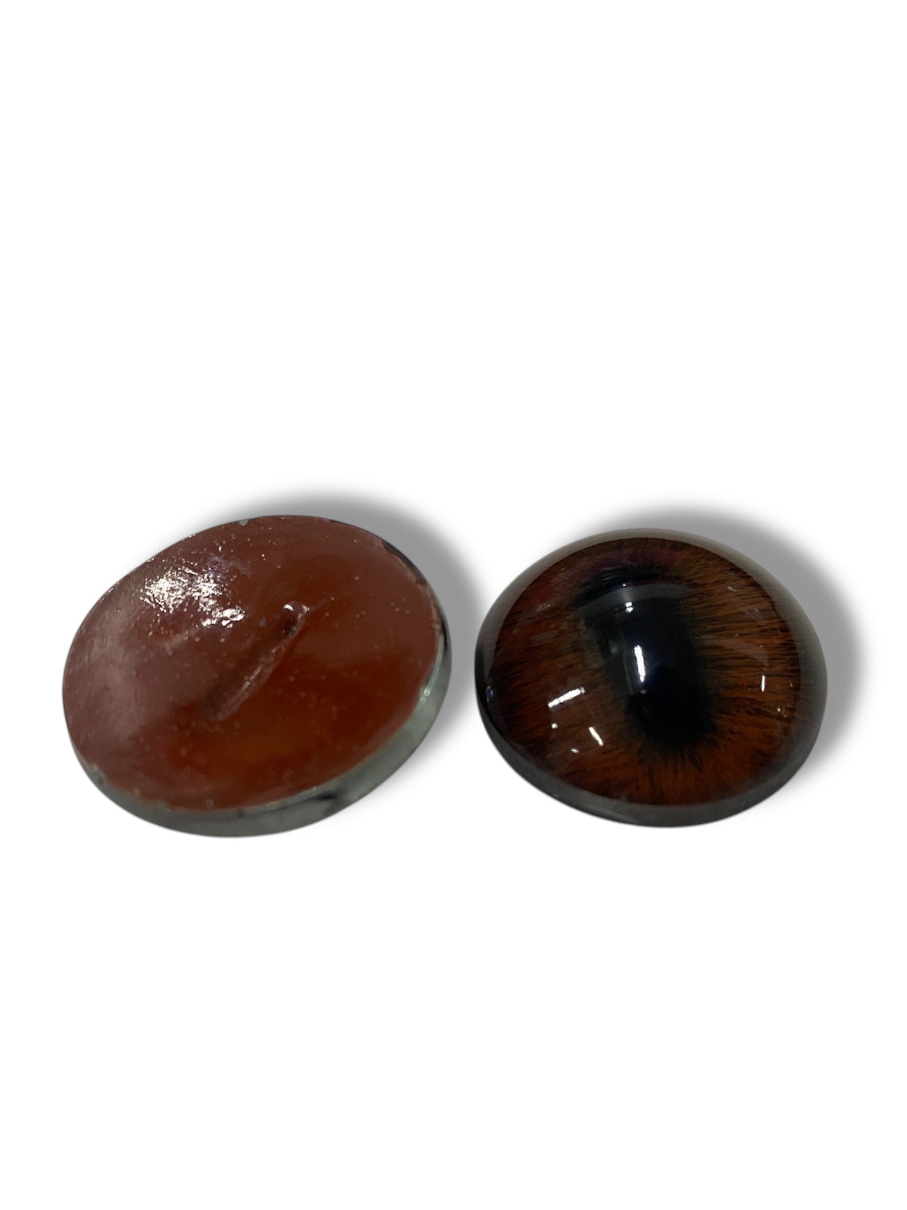 Vintage Glass Eyes Brown 1"x1/2" (Pair) – The Compleat Sculptor, Inc