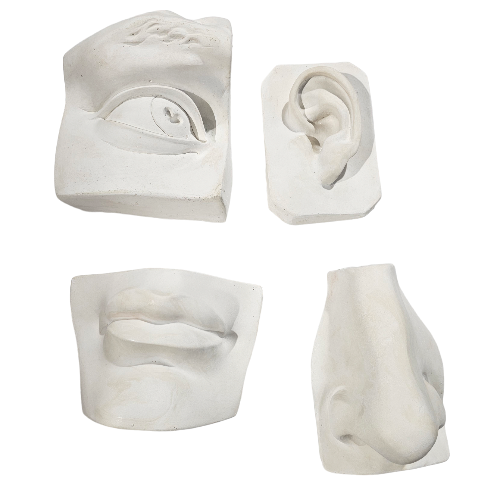 David Plaster Facial Features Set of Four White – The Compleat Sculptor, Inc