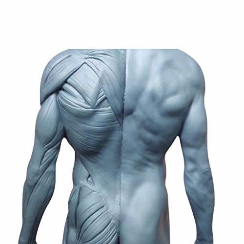 Ecorche Male Figure 12in – The Compleat Sculptor, Inc