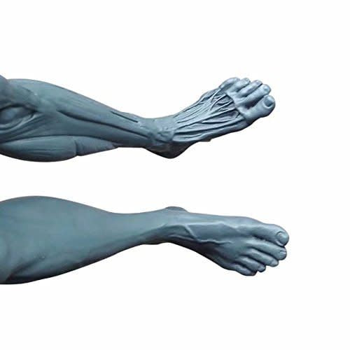 Ecorche Male Figure 12in – The Compleat Sculptor, Inc