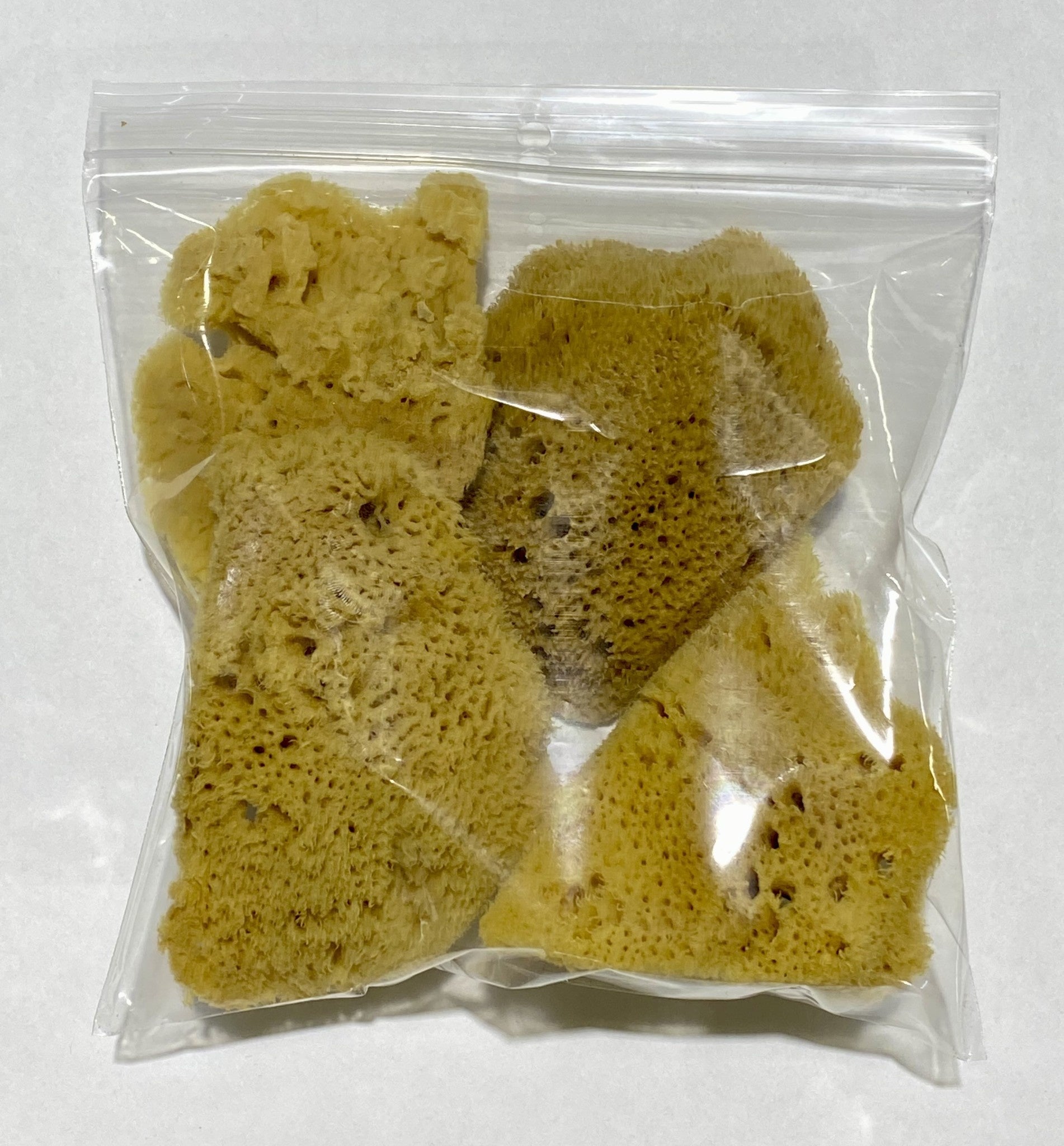 Natural Sea Sponges, Set of 4 – The Compleat Sculptor, Inc
