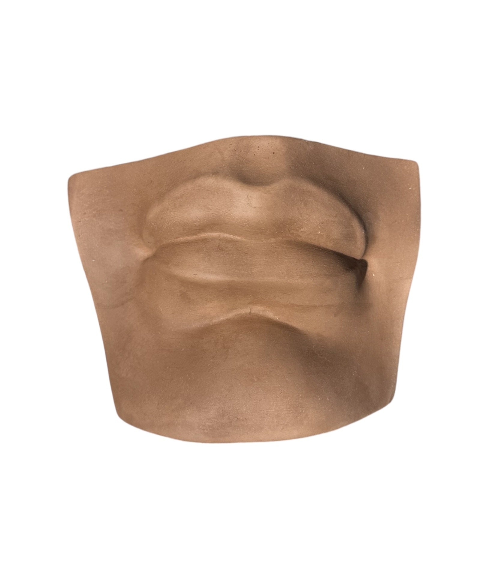 Plaster Mouth Of David Brown – The Compleat Sculptor, Inc