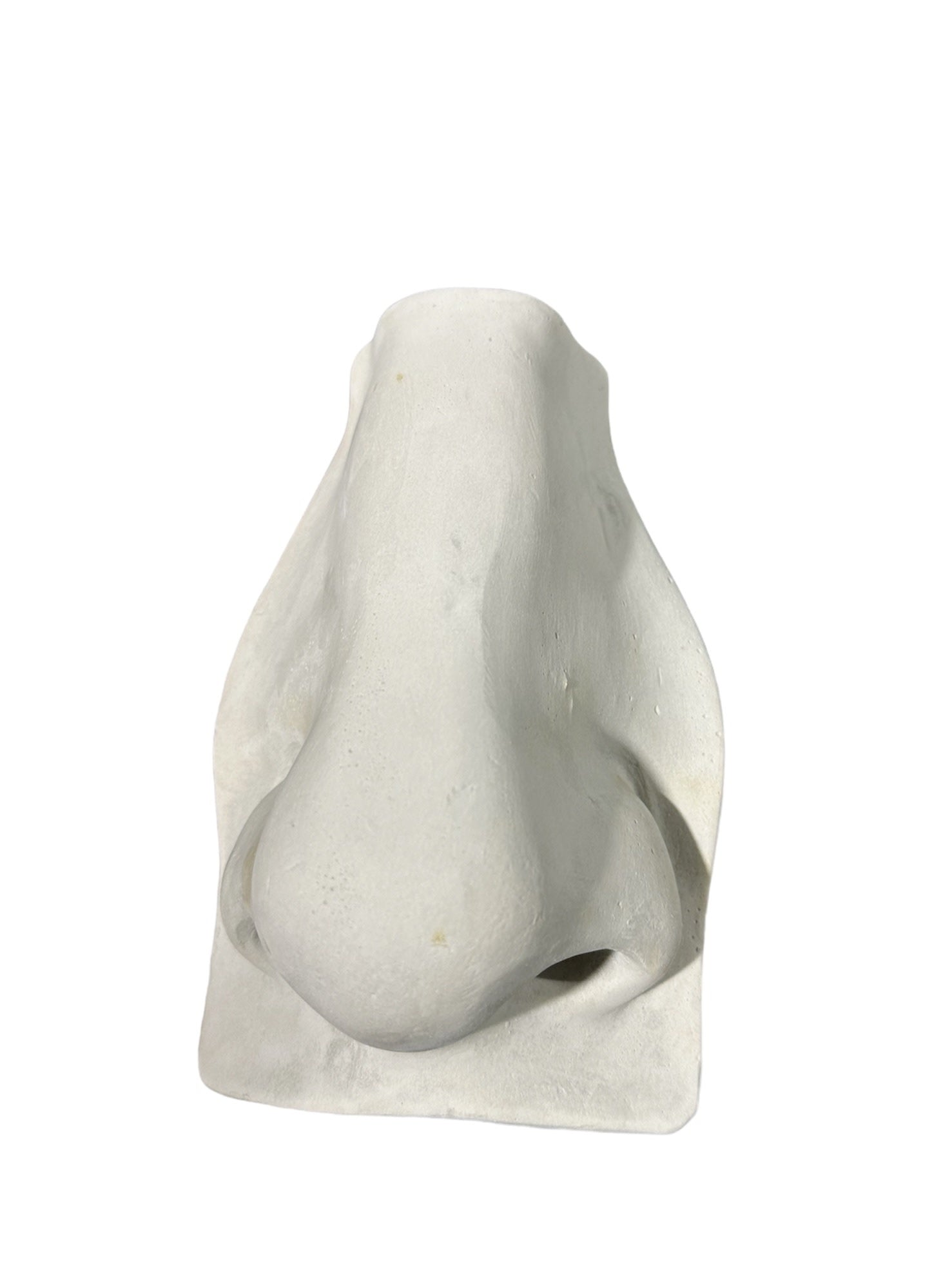 Plaster Nose Of David Gray – The Compleat Sculptor, Inc