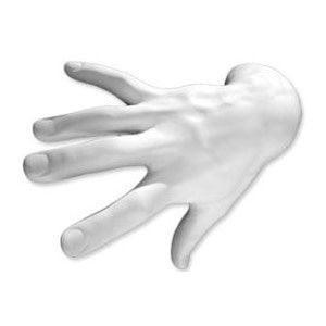 Plaster Hand – The Compleat Sculptor, Inc