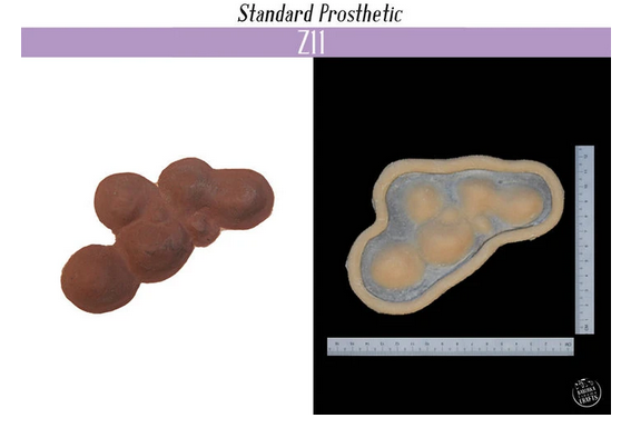 Infection - Z11 Silicone Prosthetic – The Compleat Sculptor, Inc